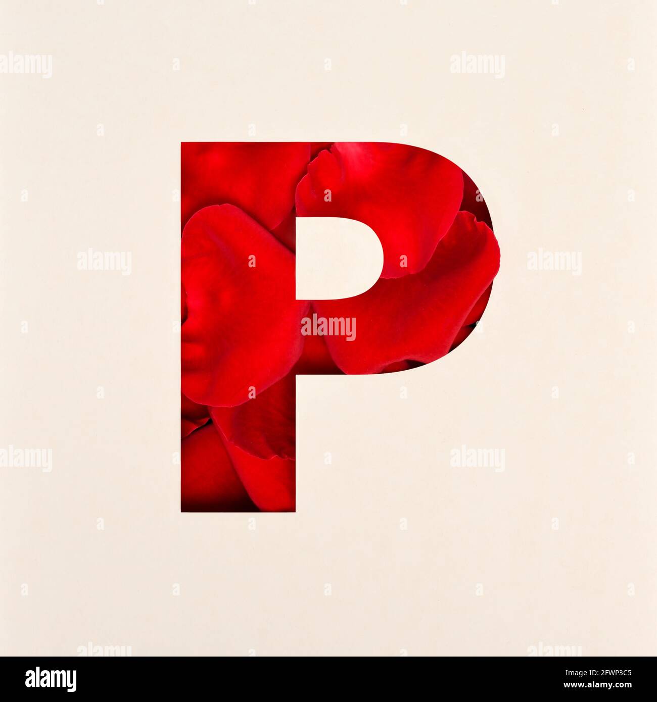 Font design, Abstract alphabet font with Rose petals, realistic flower ...