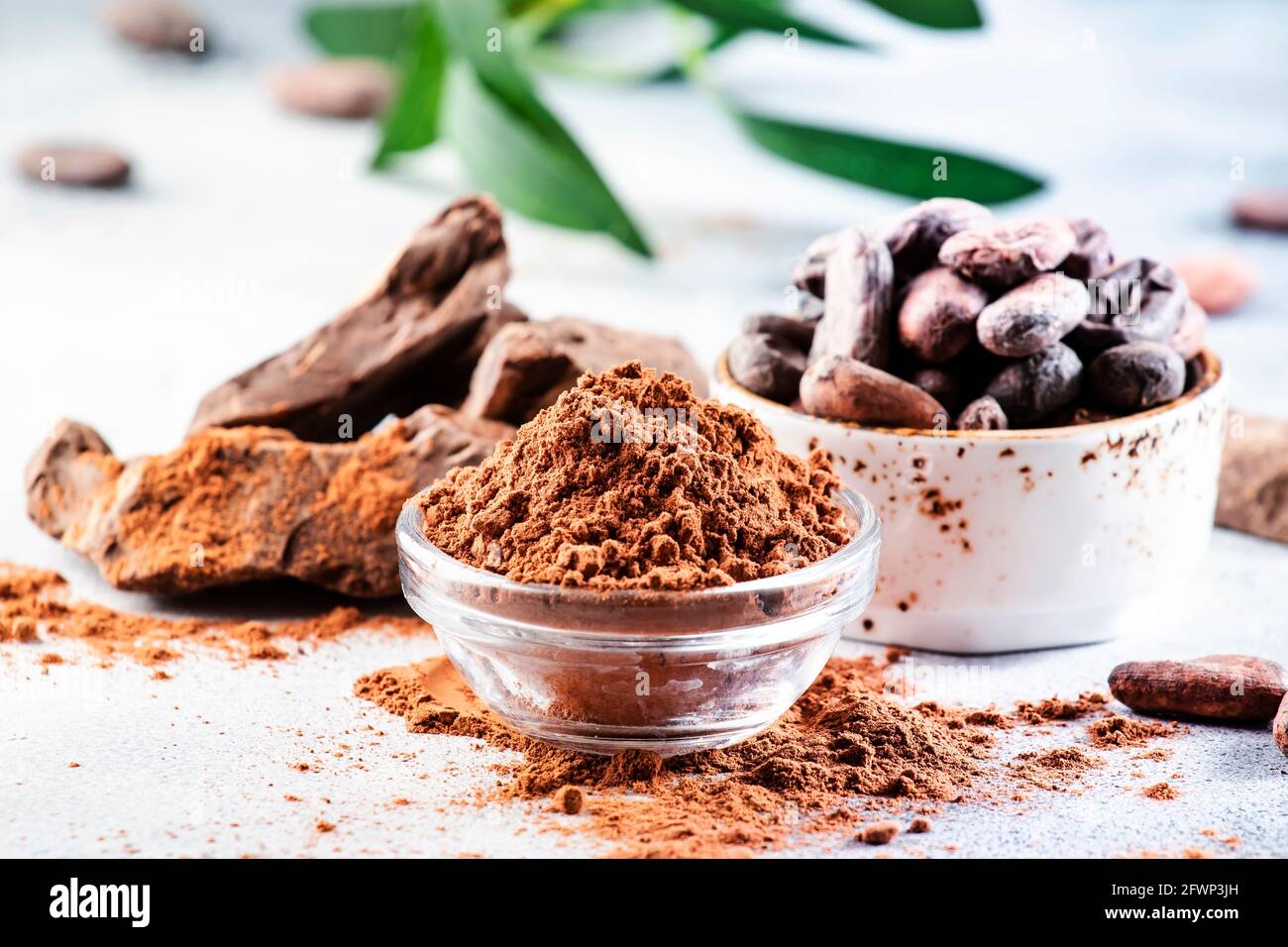 Organic cocoa powder, beans, grated lump on gray background. Copy space ...