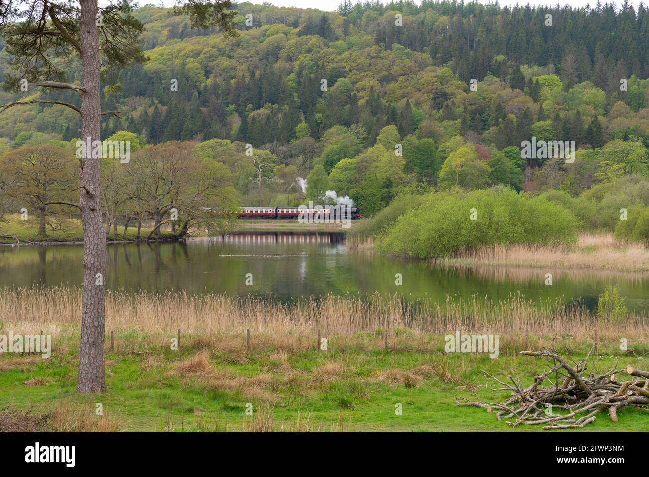 Steam Train Windermere The Lake District England uk with countryside in ...