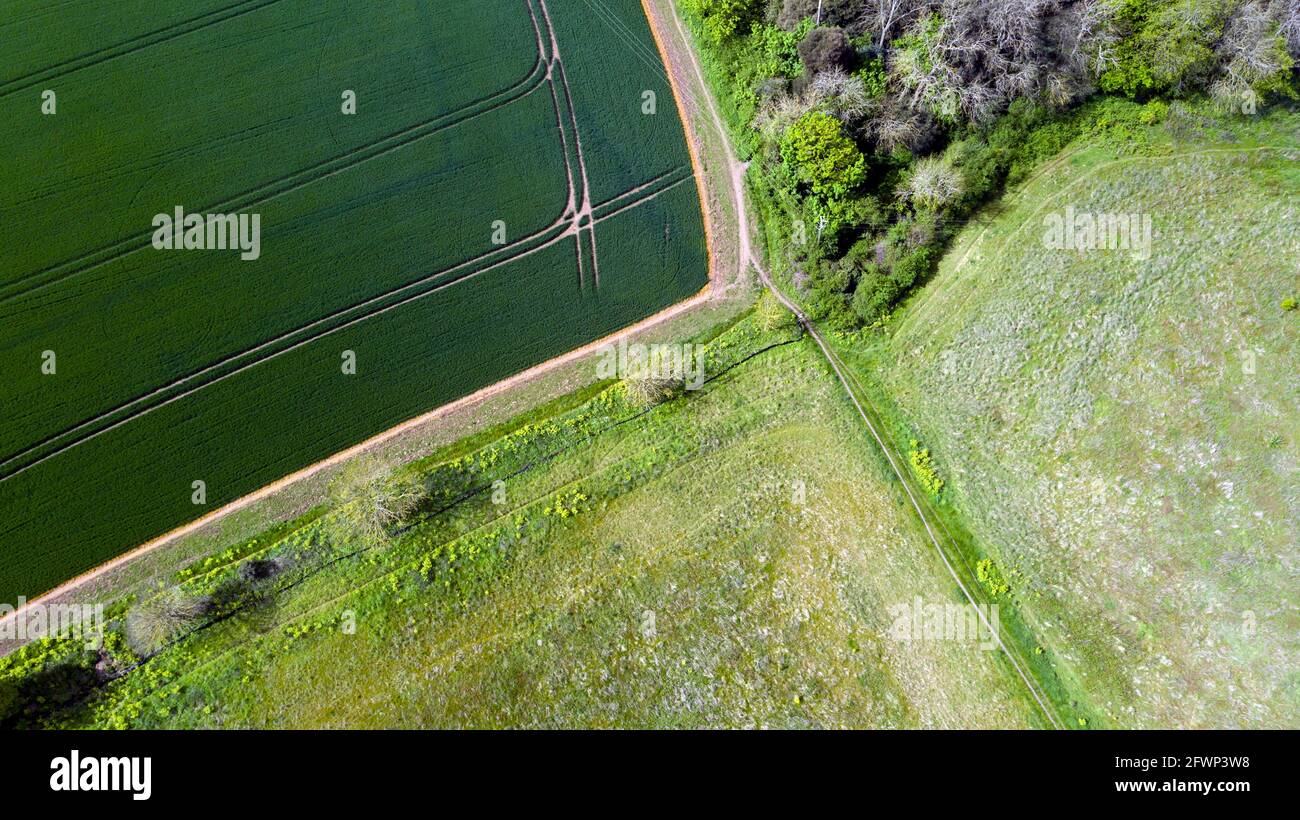 Aerial view of field margins, Coldblow Farm, Ripple, Walmer, Kent Stock ...