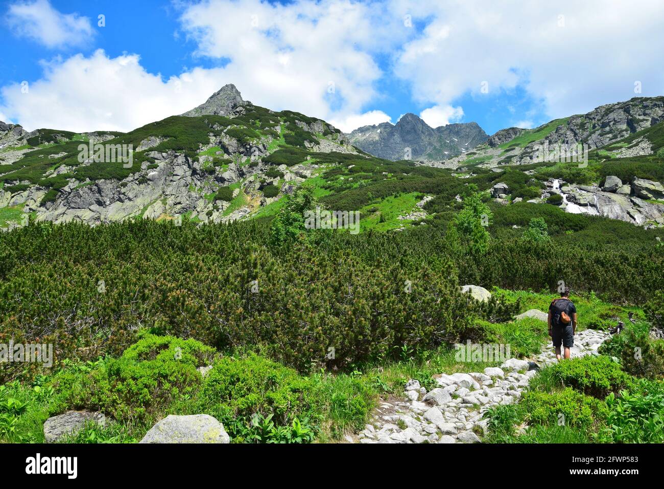Landscape of the High Tatras with a trail and mountains. Mount Rysy in ...