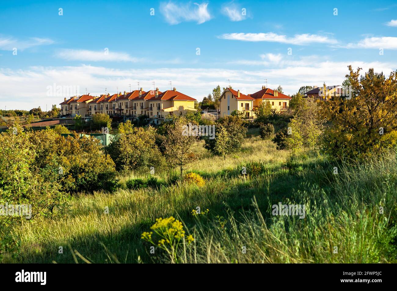 Suburban neighborhood in the nature Stock Photo - Alamy