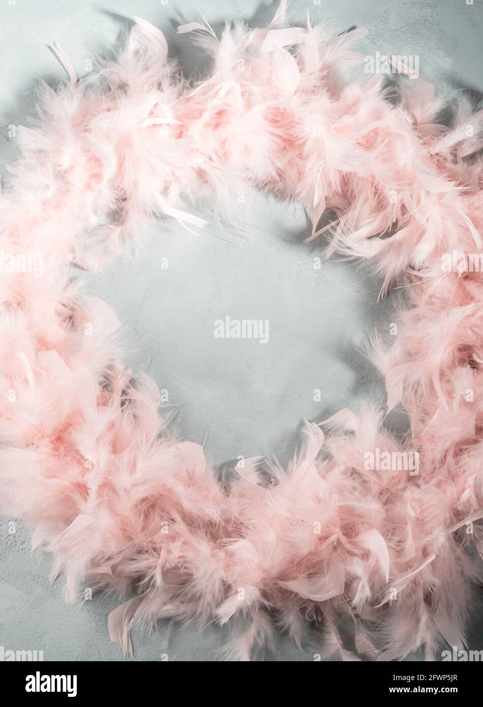 Trendy pink feather frame on turquoise background Stock Photo - Alamy