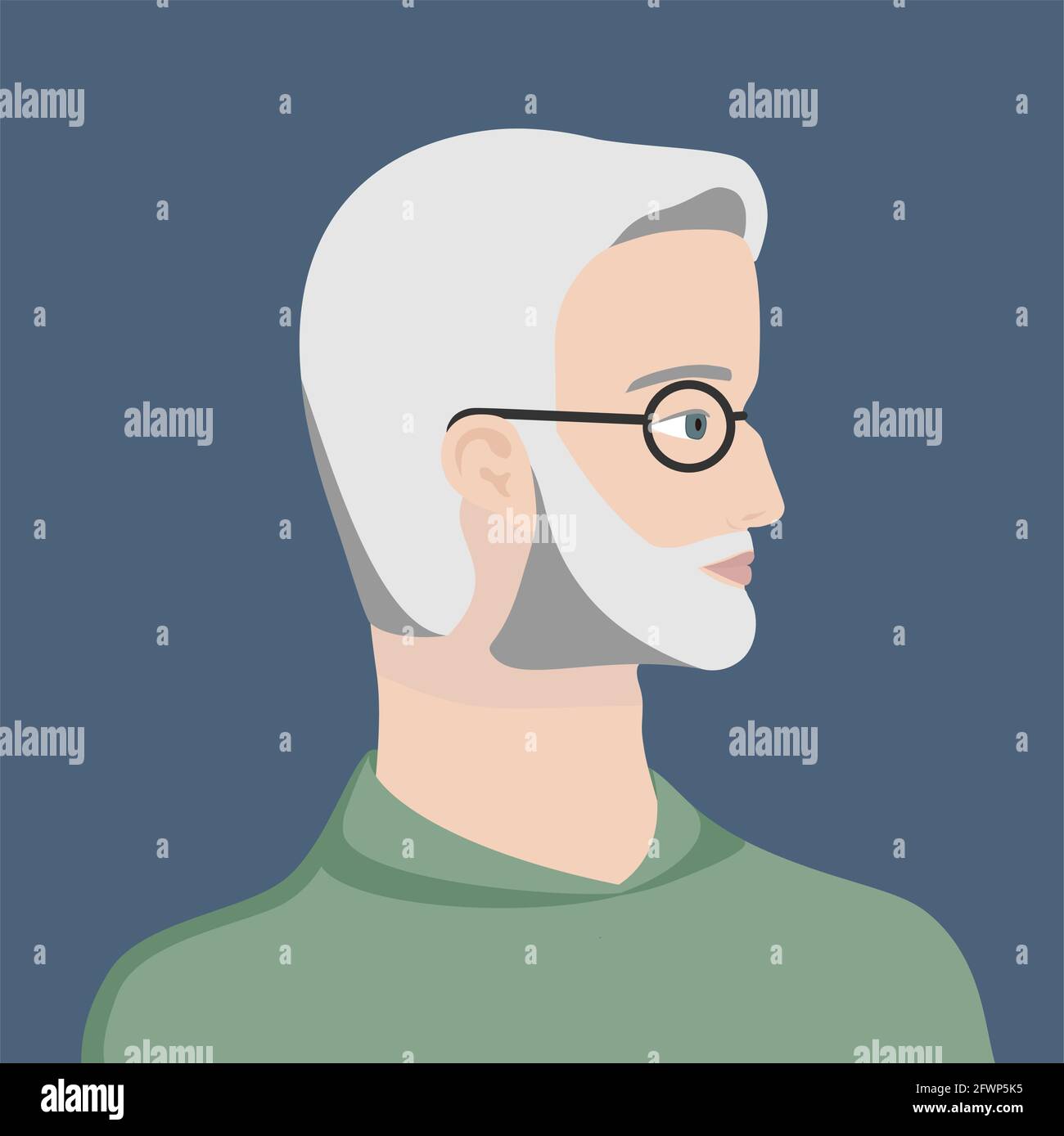 Gray grey beard moustache Stock Vector Images - Alamy