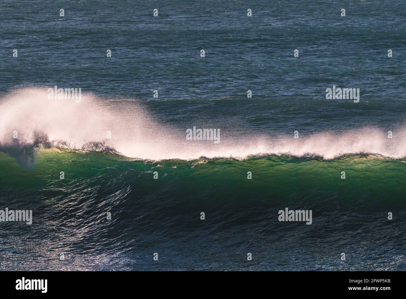 Spray blown off the crest of a wave by strong offshore wind on the ...