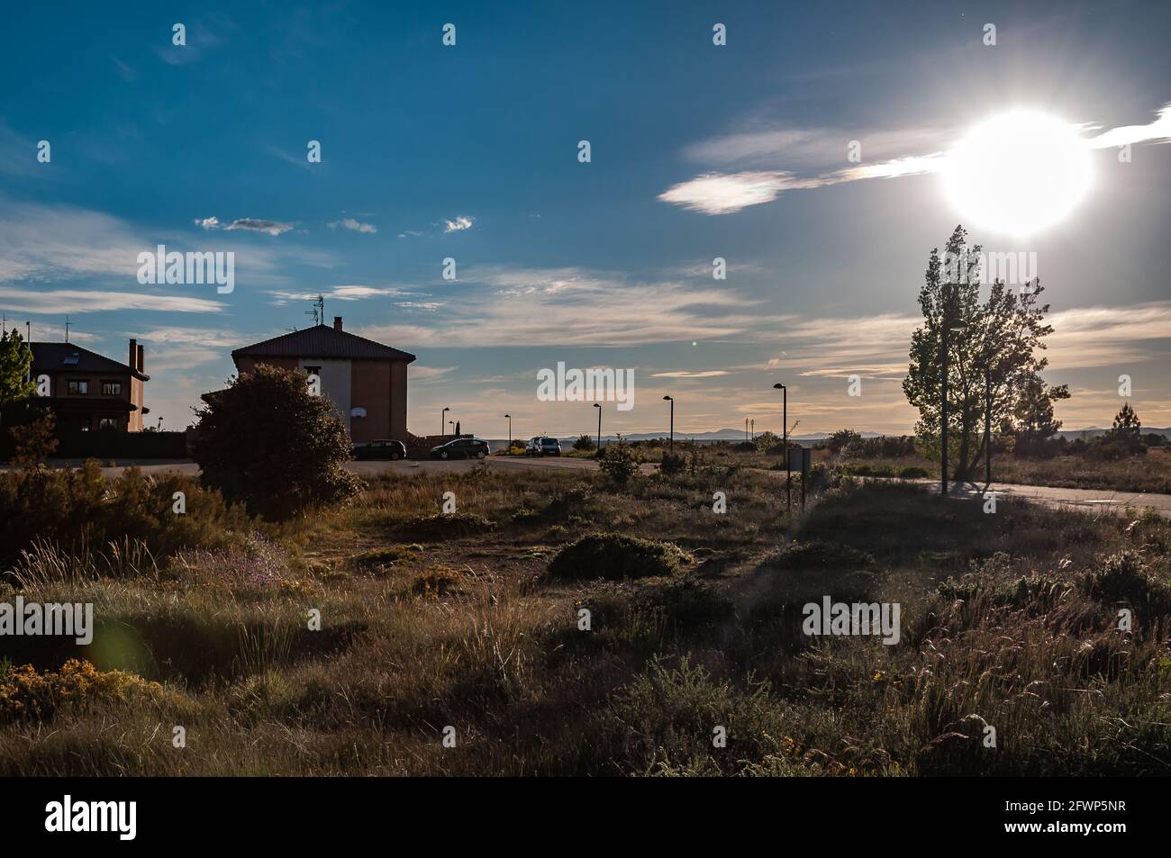 Suburban neighborhood in the nature Stock Photo - Alamy