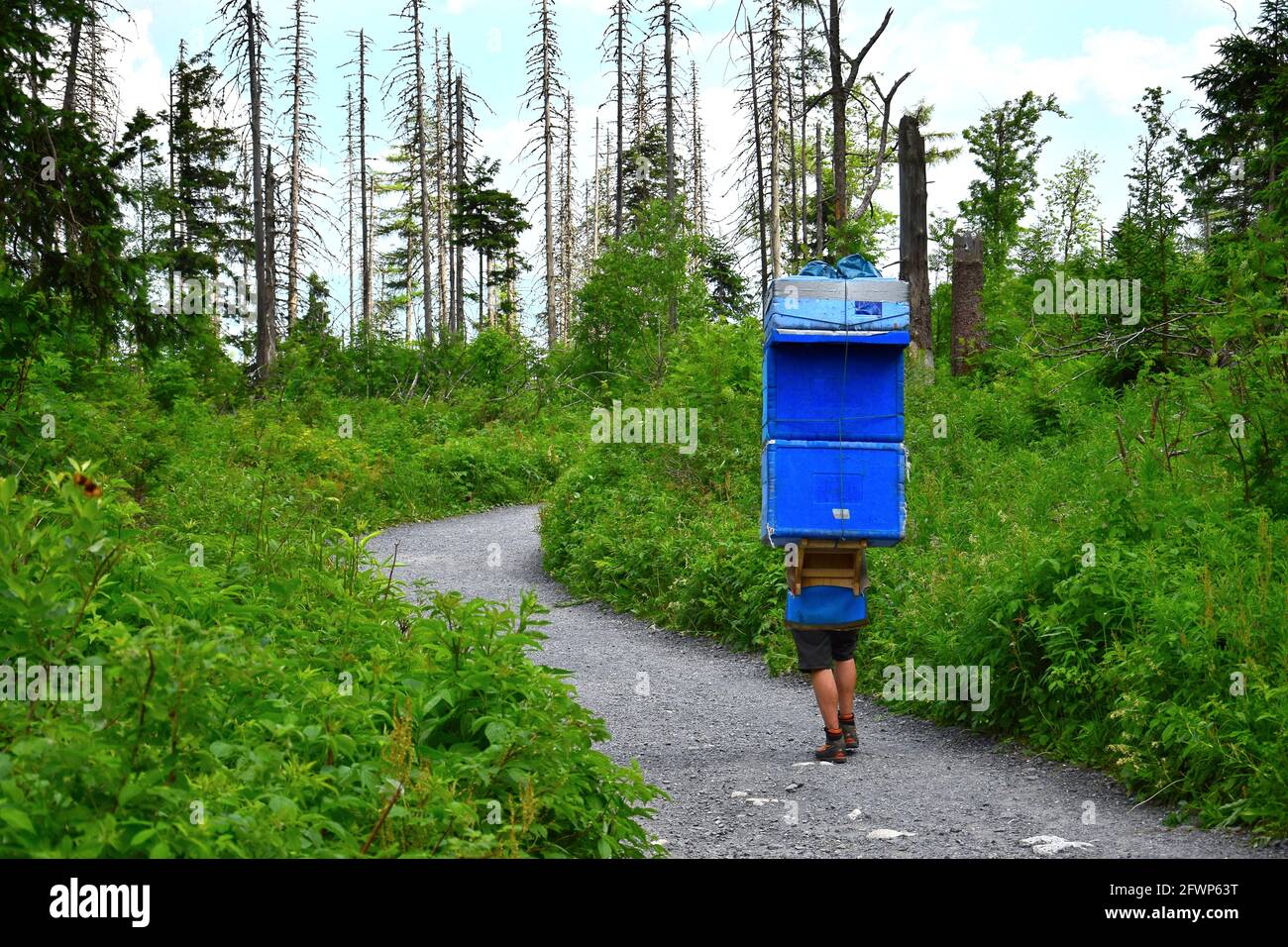 Man walking with boxes hi-res stock photography and images - Alamy