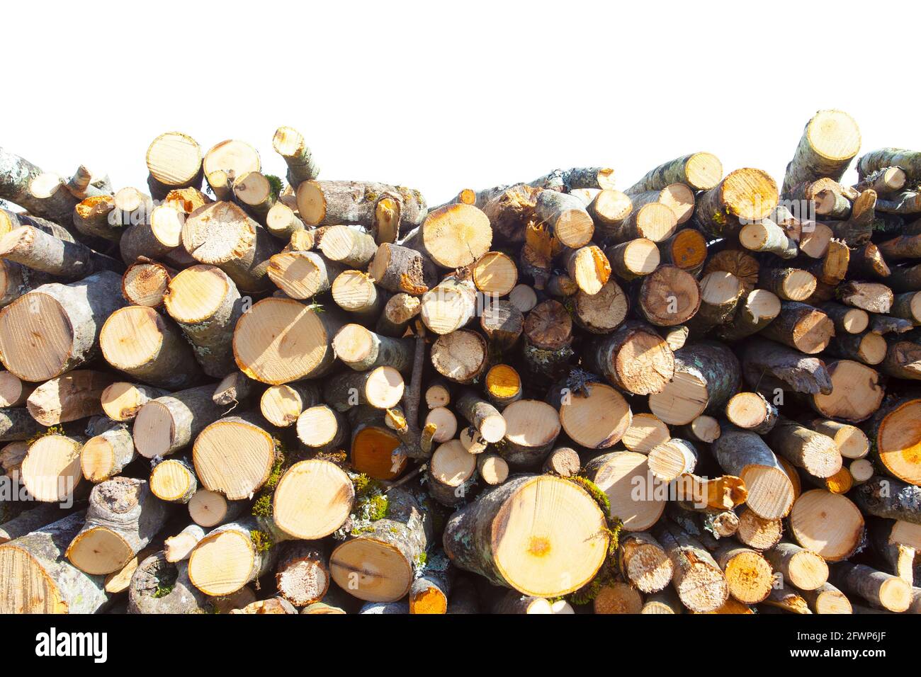 Stack wood fire isolated hi-res stock photography and images - Alamy