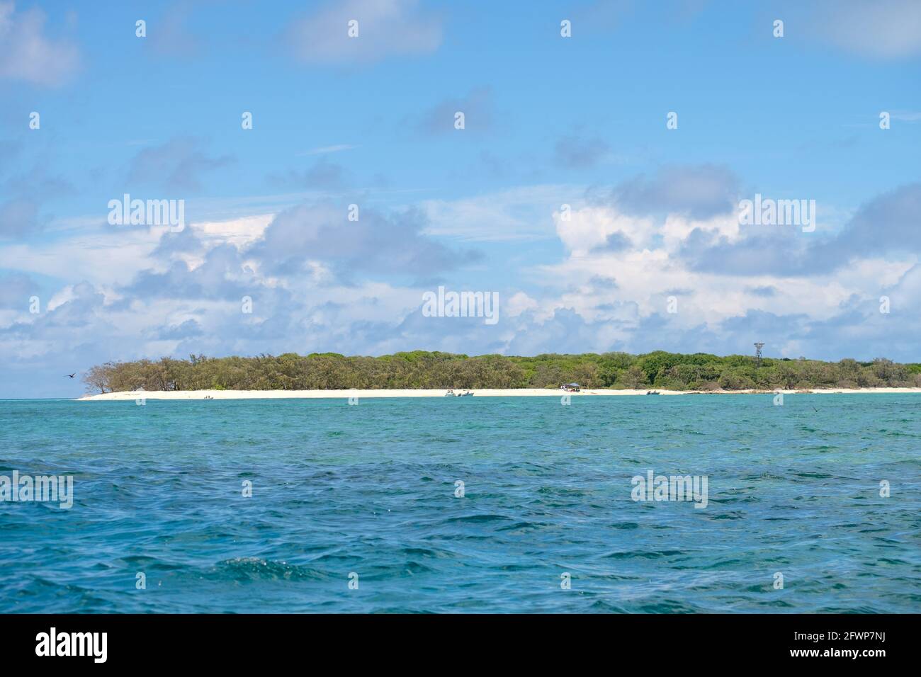 Lady Musgrave Island, Queensland, Australia Stock Photo - Alamy