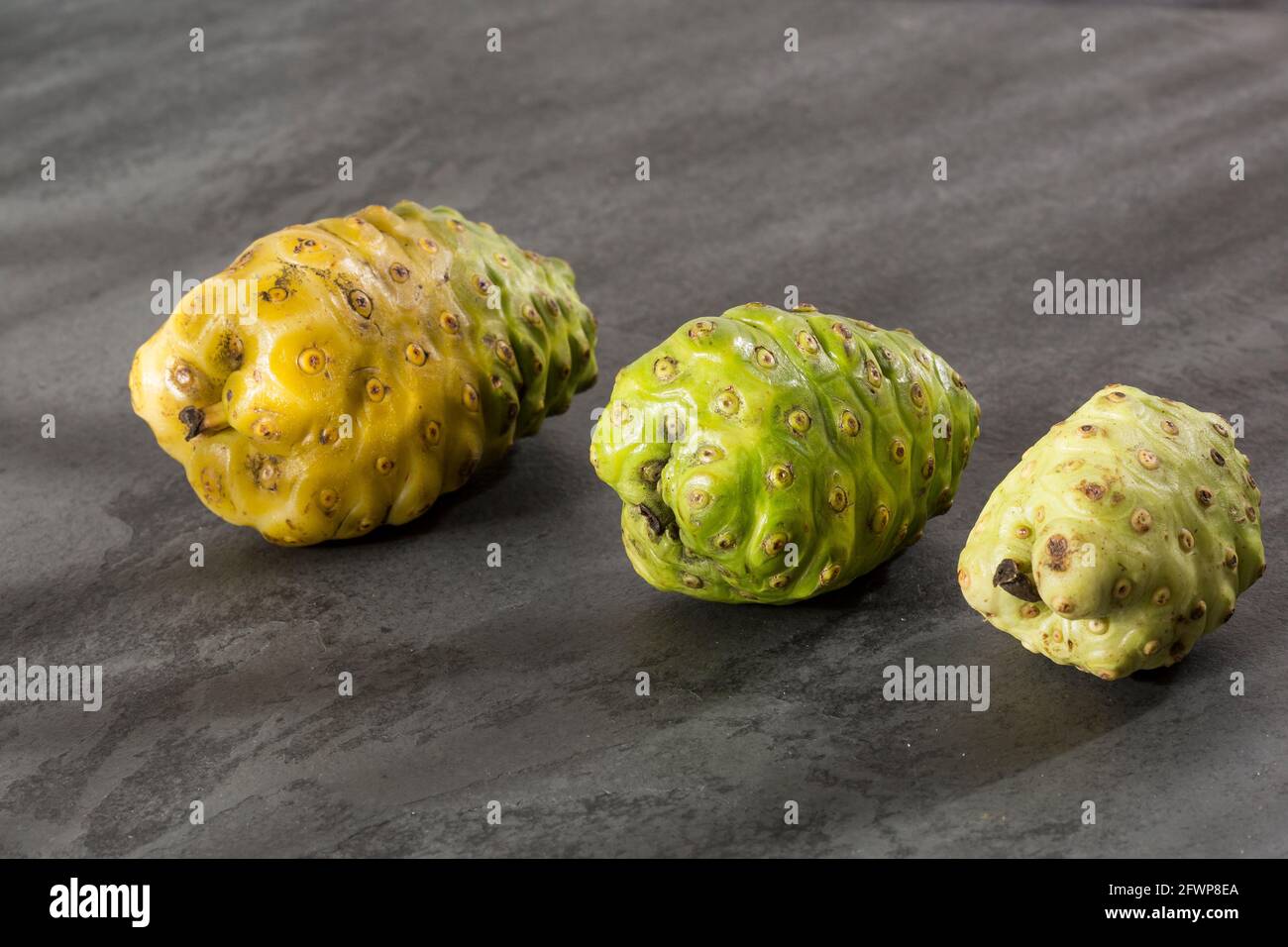 Indian mulberry morinda citrifolia hi-res stock photography and images ...