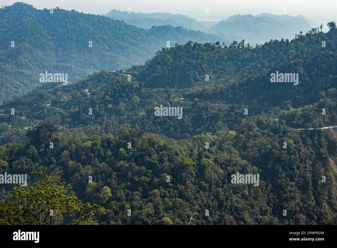 mountain range with dense green forests at morning from flat angle ...