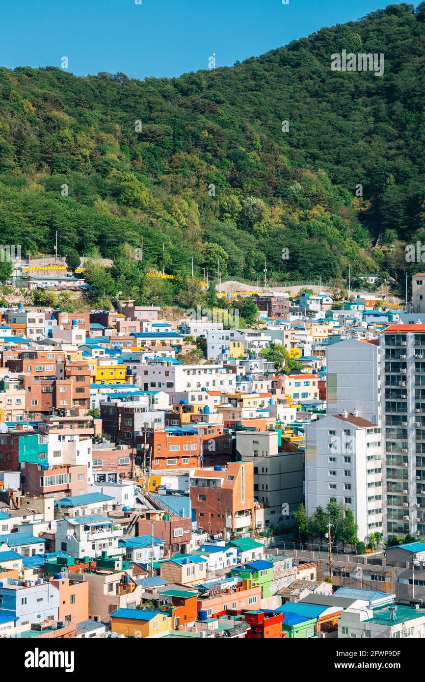 Gamcheon Culture Village colorful houses in Busan, Korea Stock Photo ...