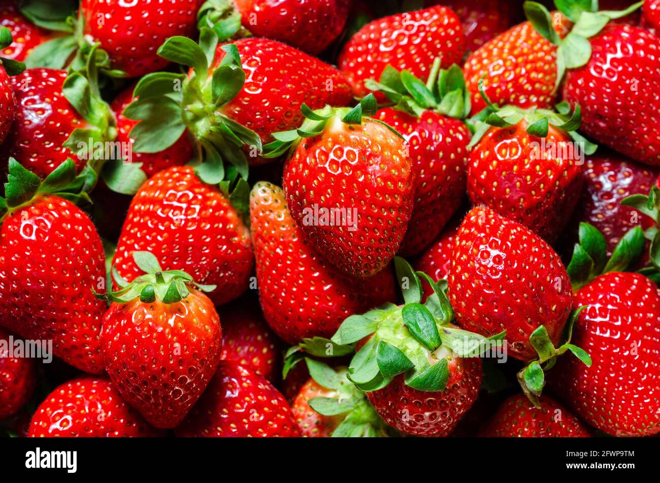 Composition of strawberries inside a box. Background of strawberries ...