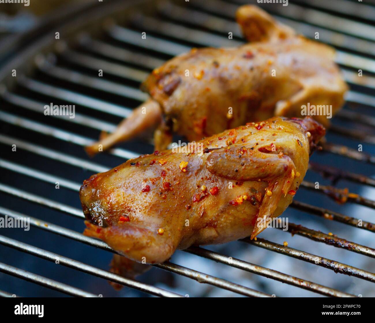 Preparation of marinated quail on the grill grate Stock Photo - Alamy