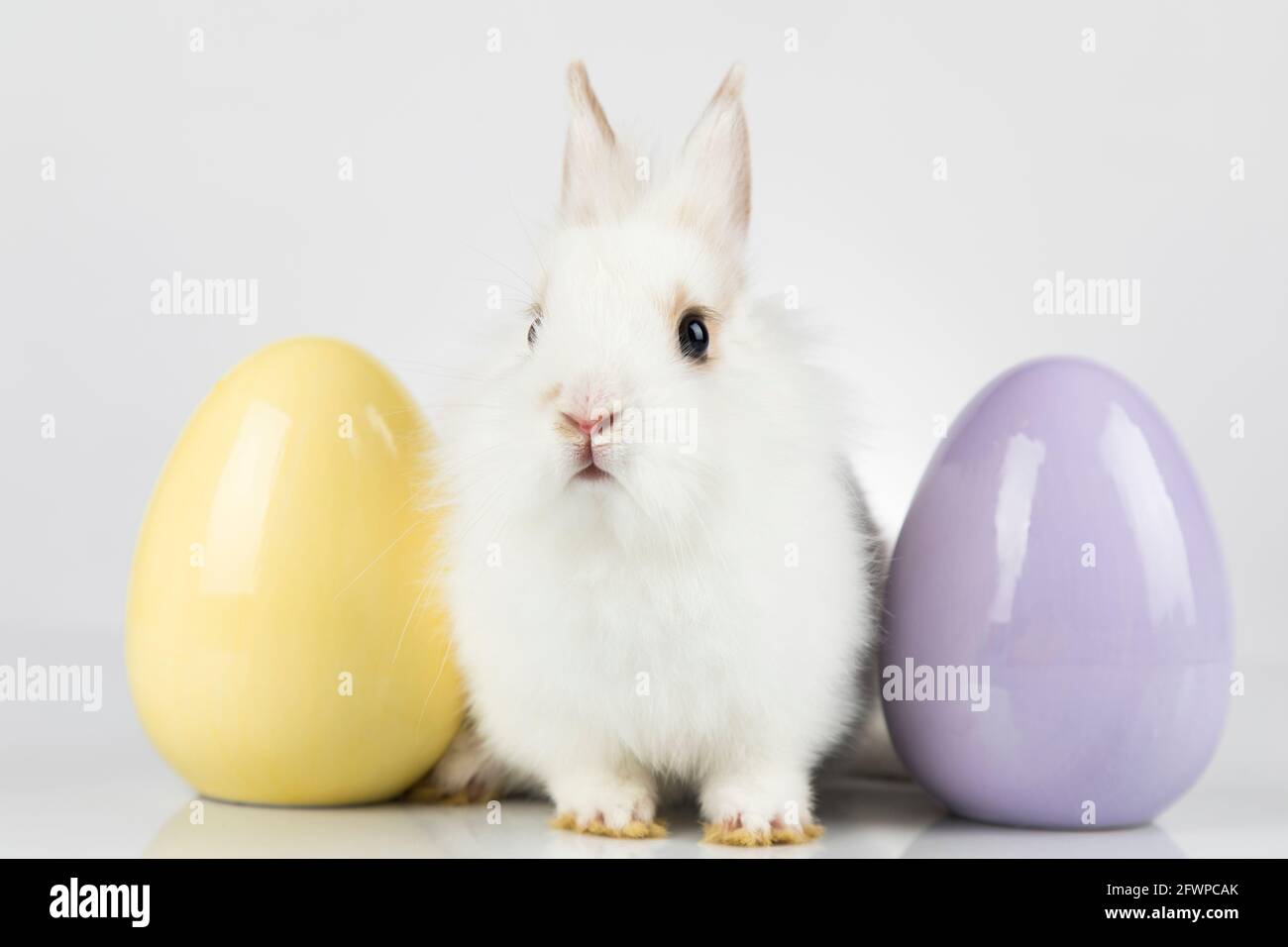 Baby bunny and egg, easter background Stock Photo - Alamy