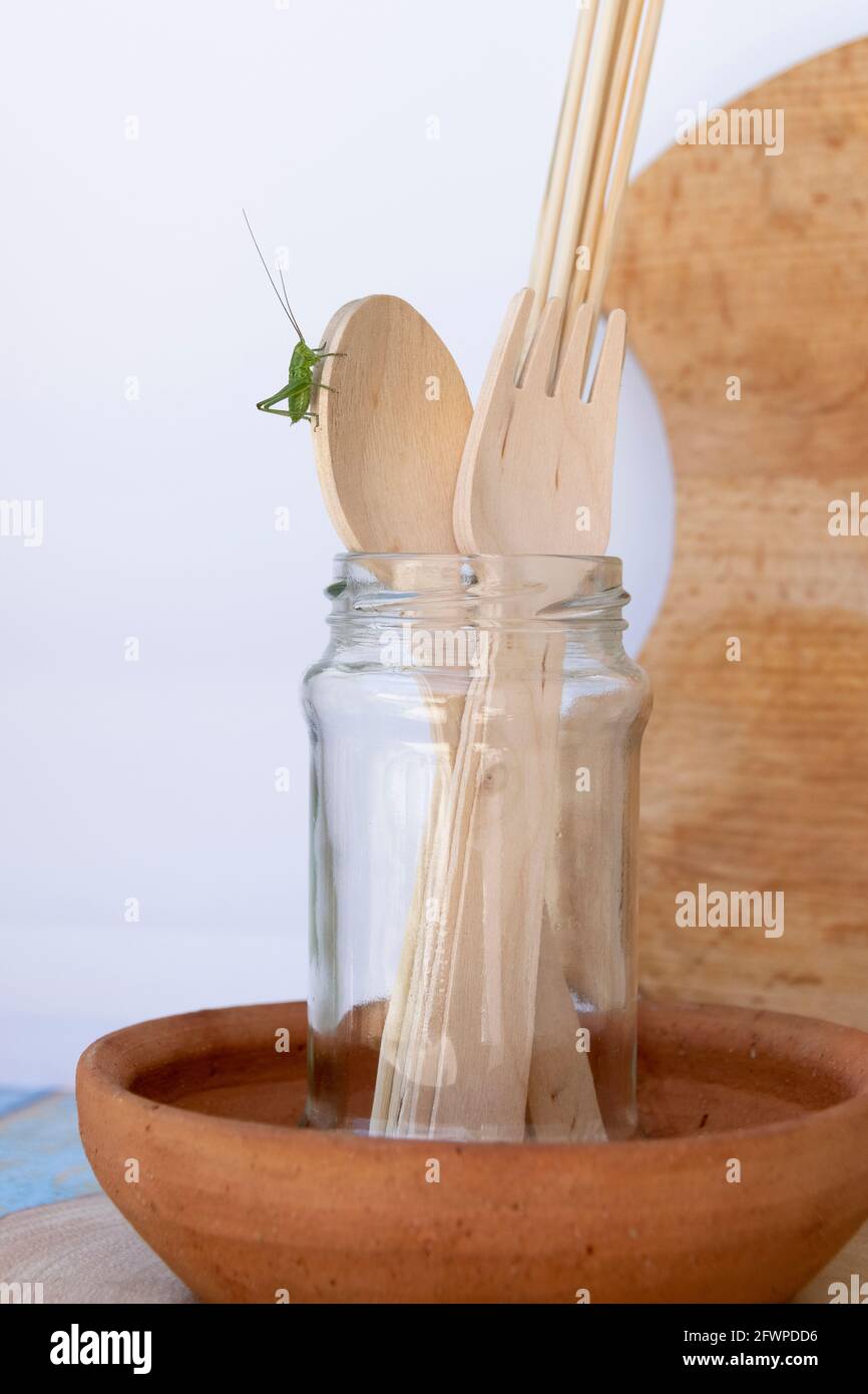 Eco friendly reusable kitchen utensils with a little grasshopper on ...