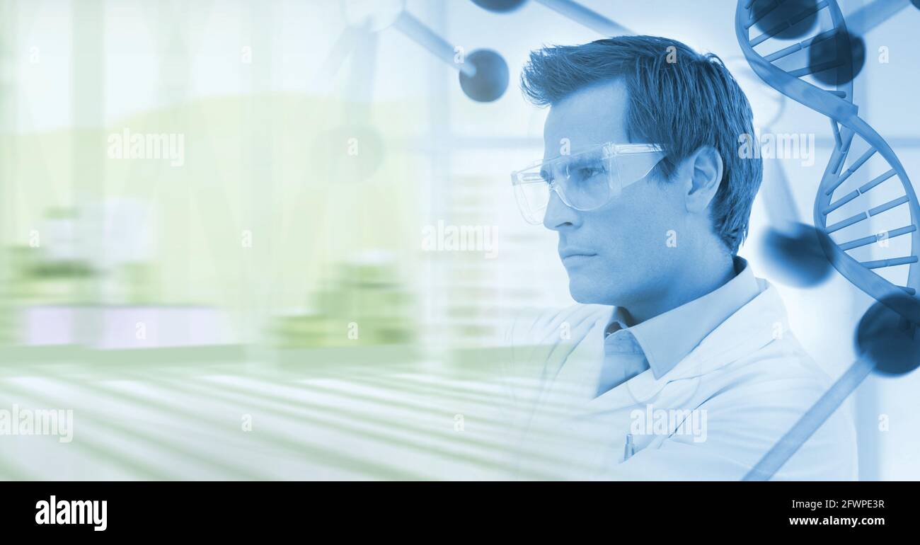 Male chromosome hi-res stock photography and images - Alamy