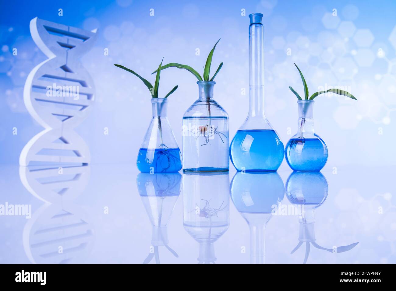 Measuring dna hi-res stock photography and images - Alamy