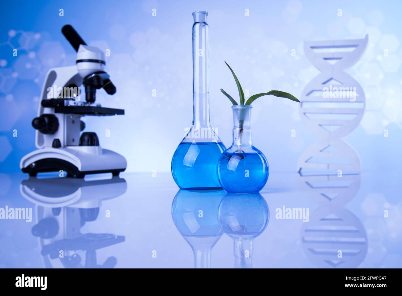Microscope, Science experiment with plant laboratory Stock Photo - Alamy