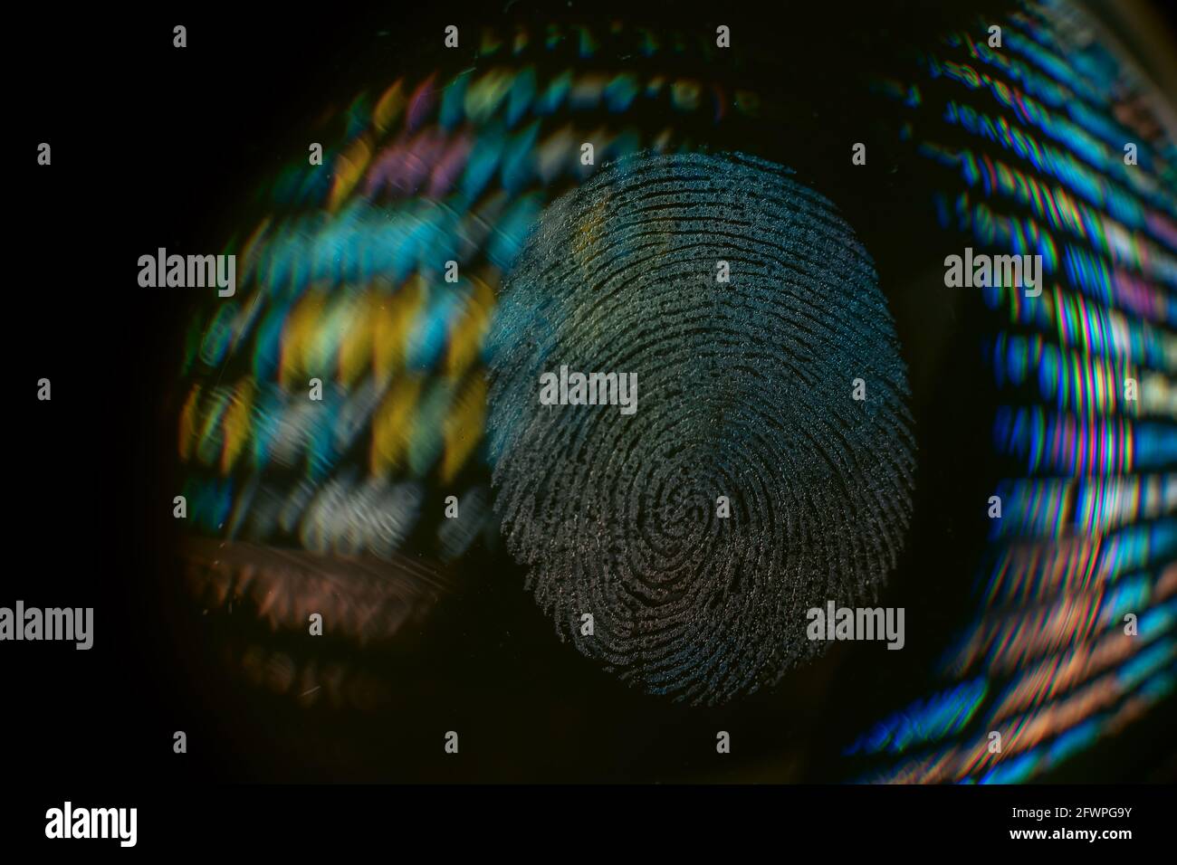 Nice Fingerprint On The Crumpled Background Of The Code Abstract Computer Script Code Software