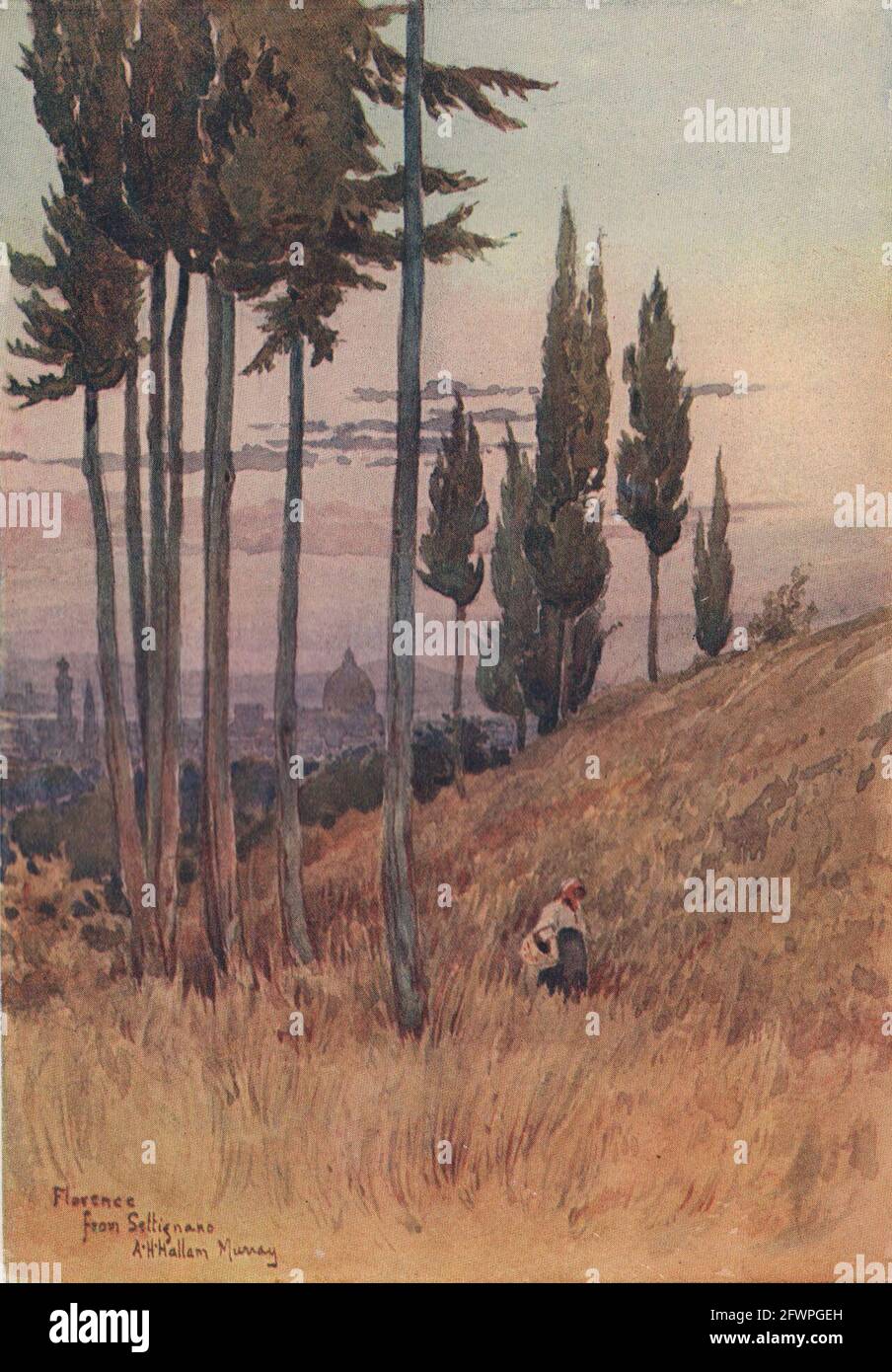 Alexander poggio hi-res stock photography and images - Alamy