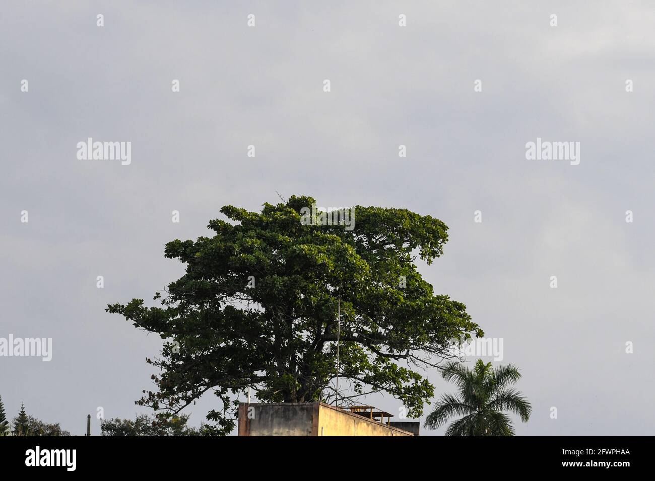 Gray sky in the background hi-res stock photography and images - Alamy