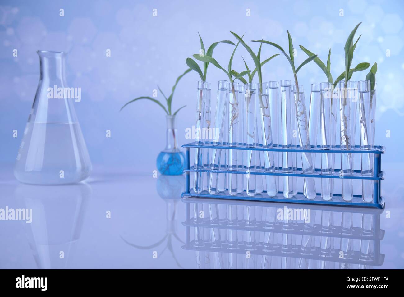 Laboratory beakers, microscope, blue background Stock Photo - Alamy