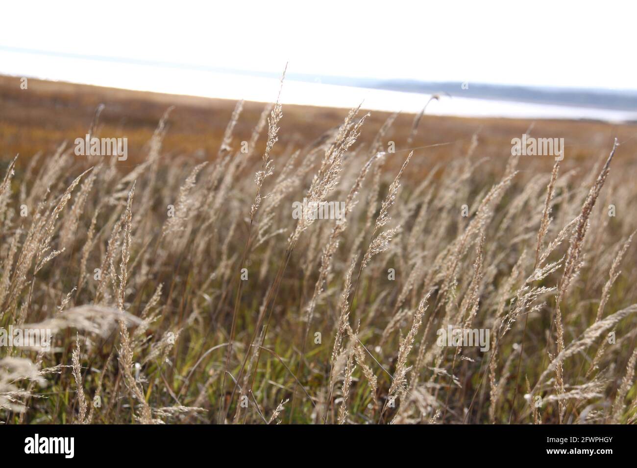 Bathing in the sun hi-res stock photography and images - Alamy