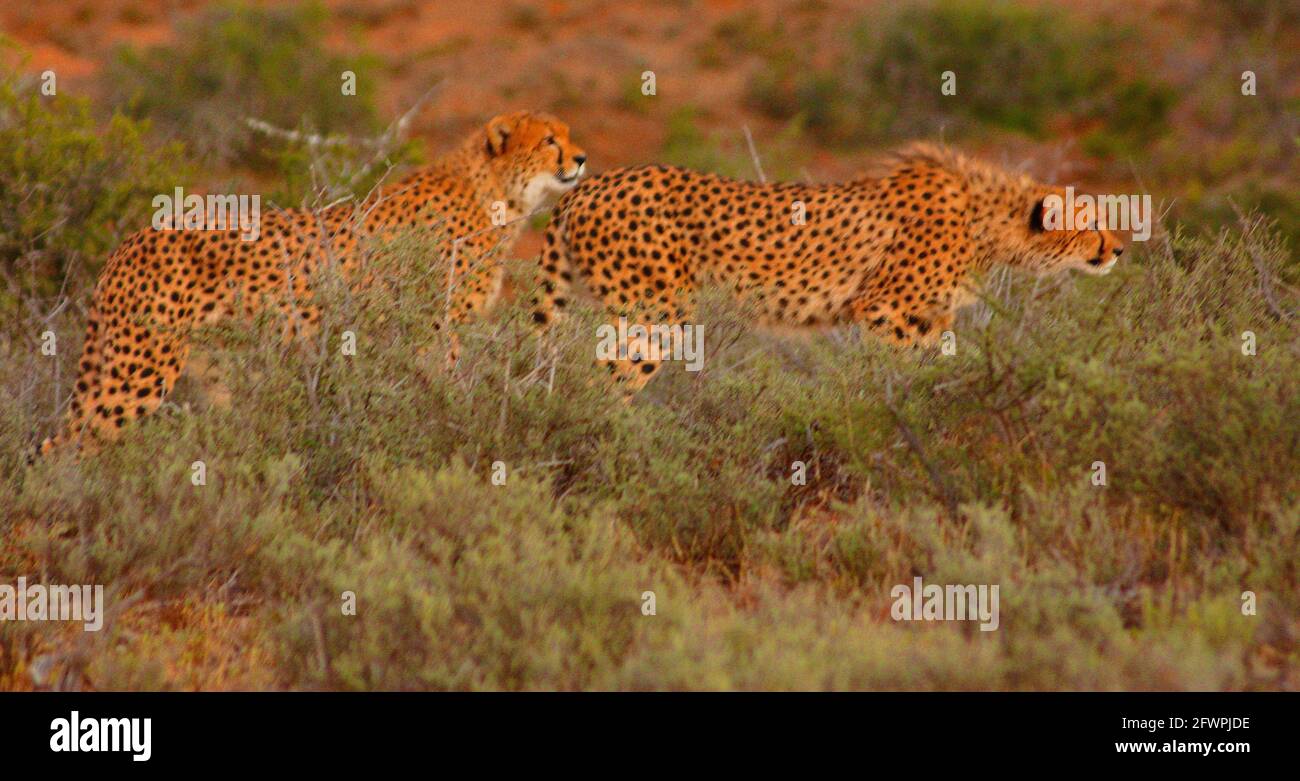 Teaching and learning Stock Photo - Alamy