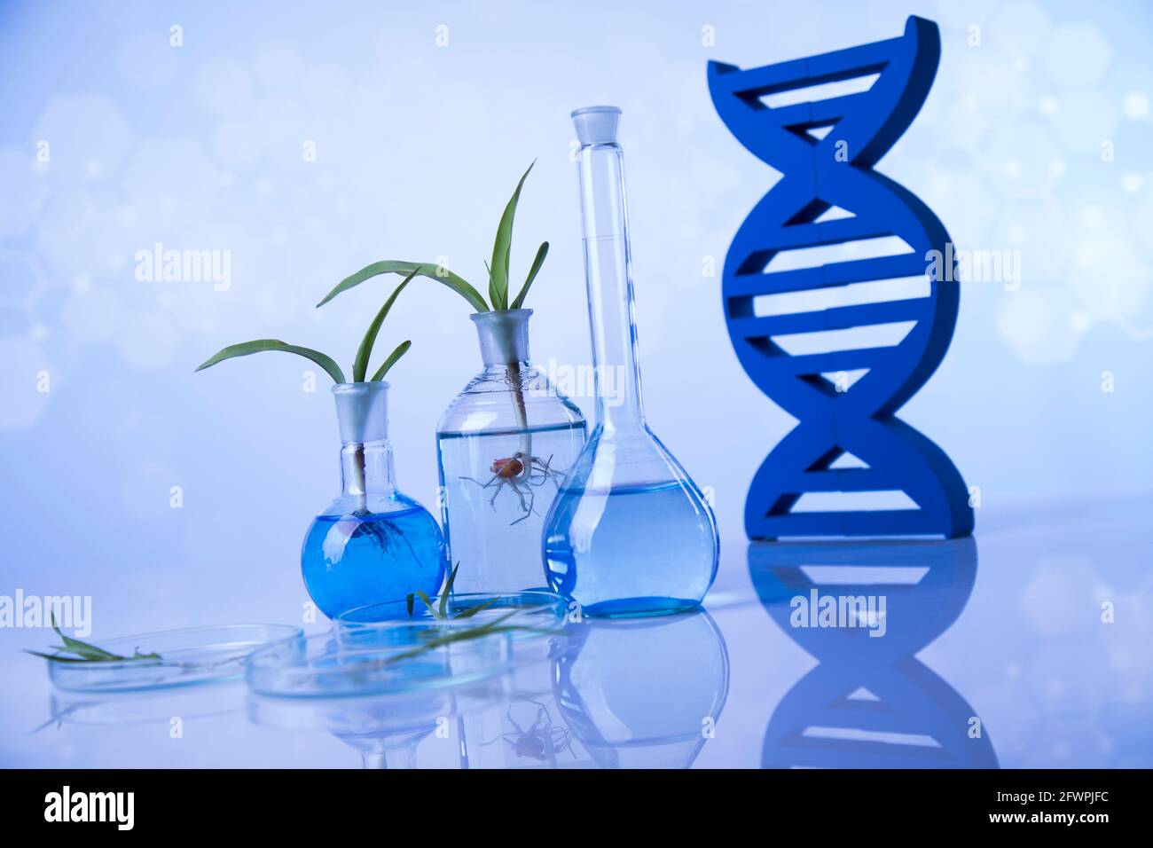 Dna, Glassware, Laboratory beakers,Science experiment Stock Photo - Alamy