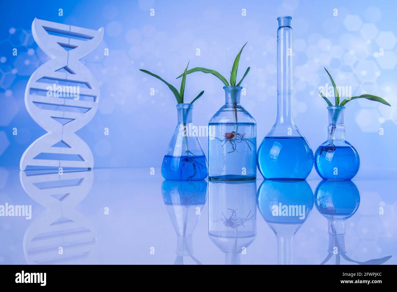 Dna, Plant laboratory experimental, Chemical glassware Stock Photo - Alamy