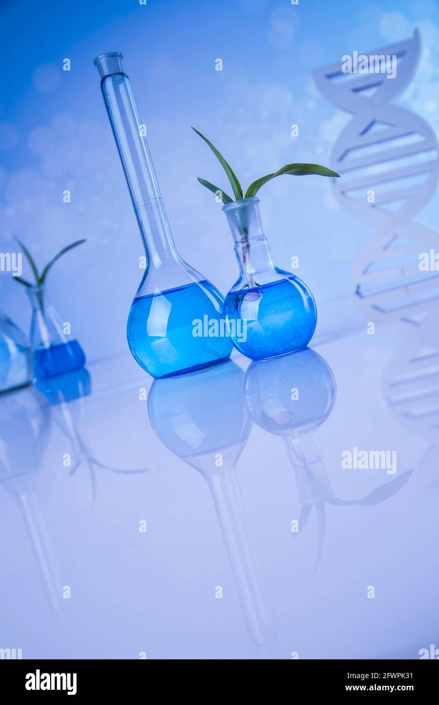 Dna, Plant laboratory experimental, Chemical glassware Stock Photo - Alamy