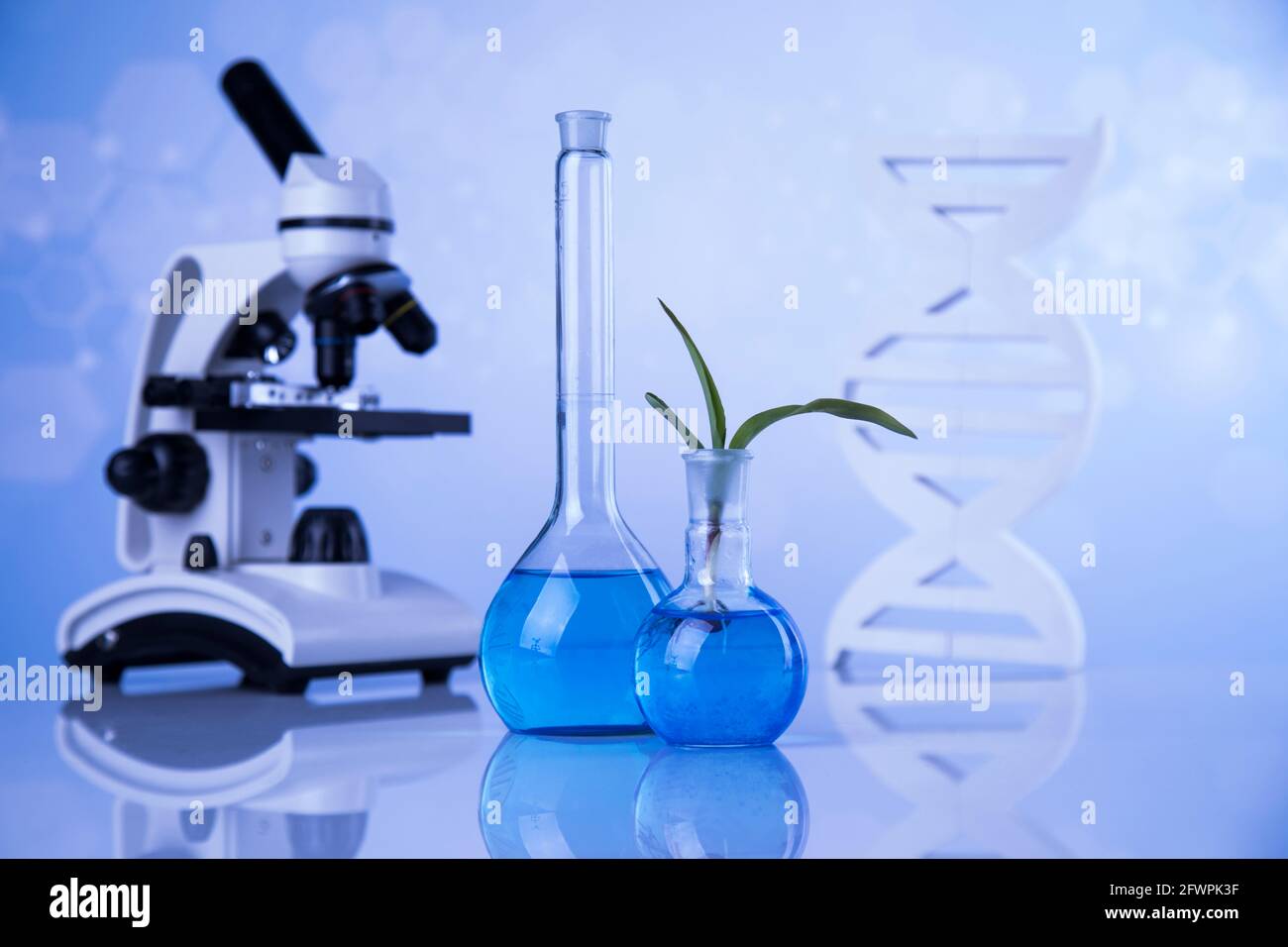 Dna, Plant laboratory experimental, Chemical glassware Stock Photo - Alamy