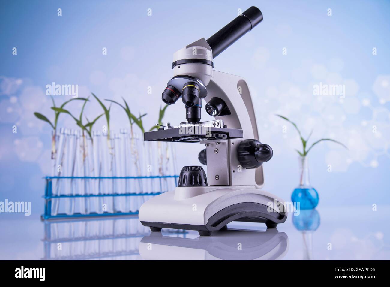 Microscope, Science experiment with plant laboratory Stock Photo - Alamy