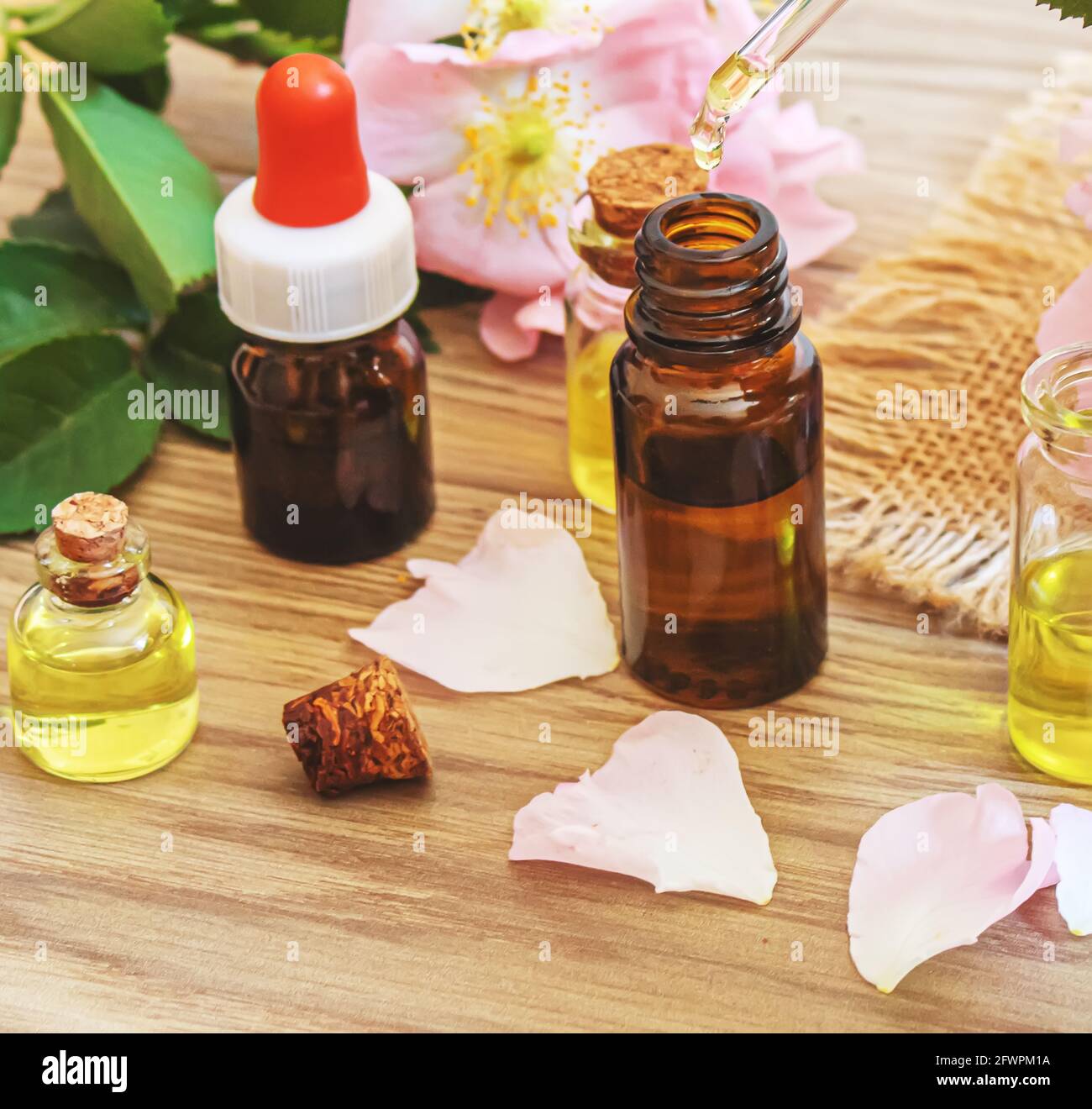 rosehip extract in bottles. Homeopathy. Selective focusnature Stock ...