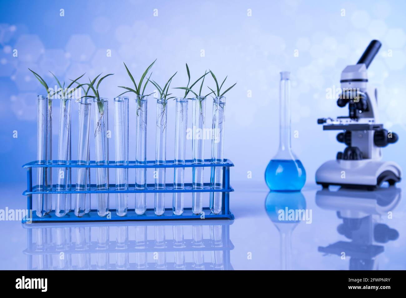 Microscope, Science experiment with plant laboratory Stock Photo - Alamy