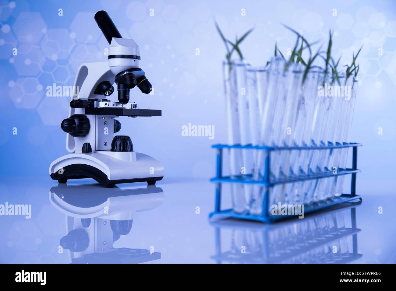 Microscope, Science experiment with plant laboratory Stock Photo - Alamy