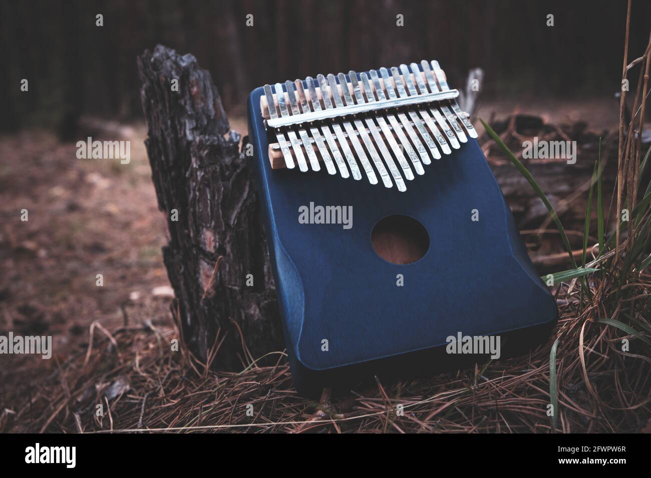 Kalimba is an African musical instrument in forest near tree Stock ...
