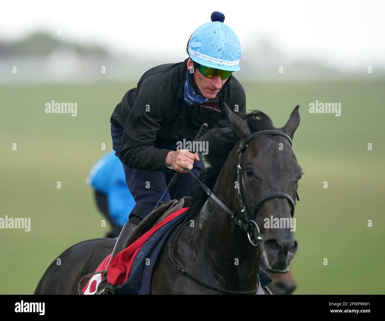 John leeper horse hi-res stock photography and images - Alamy