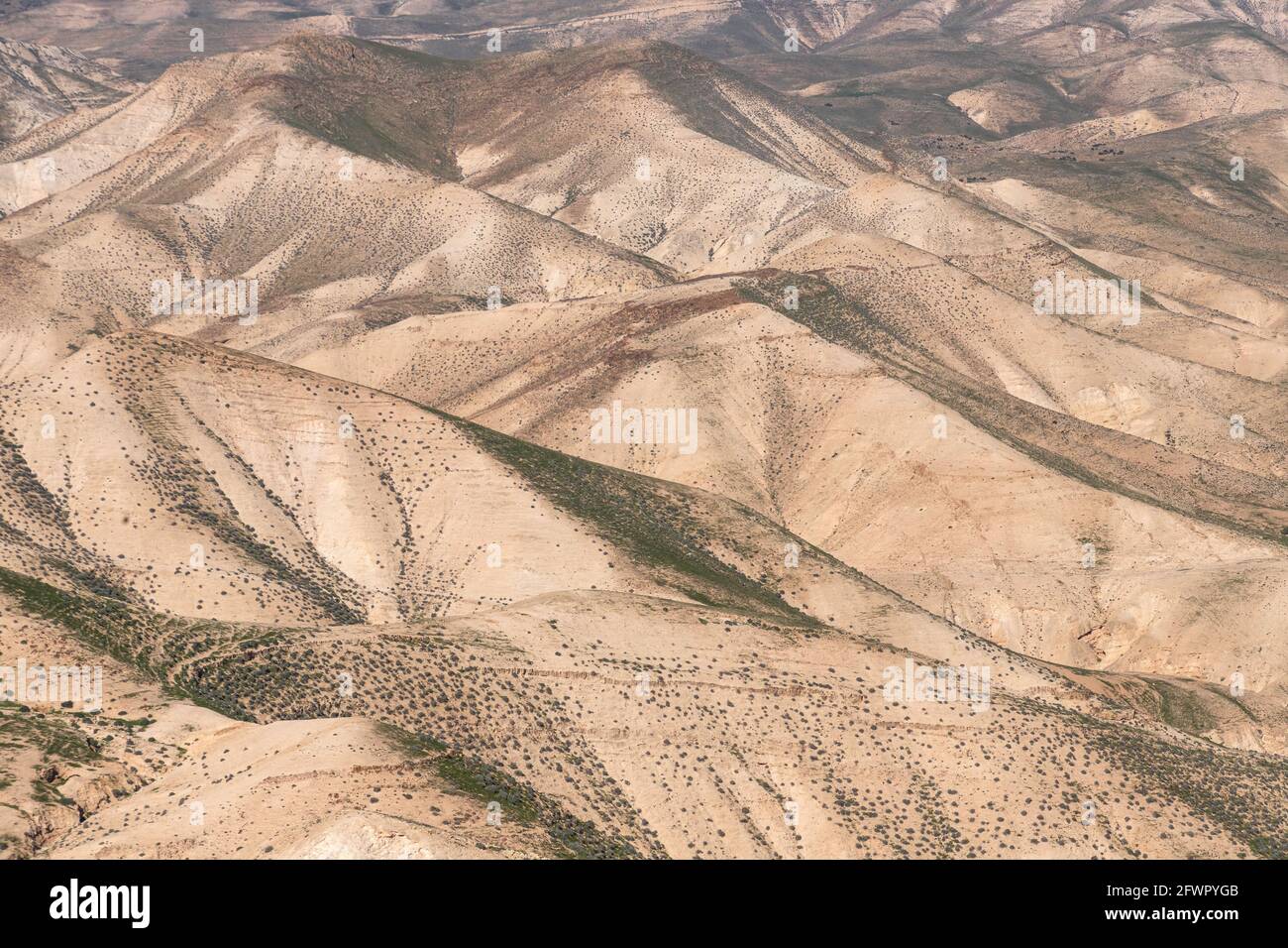 View of the slopes of the sandy mountains of the Judean Desert covered ...