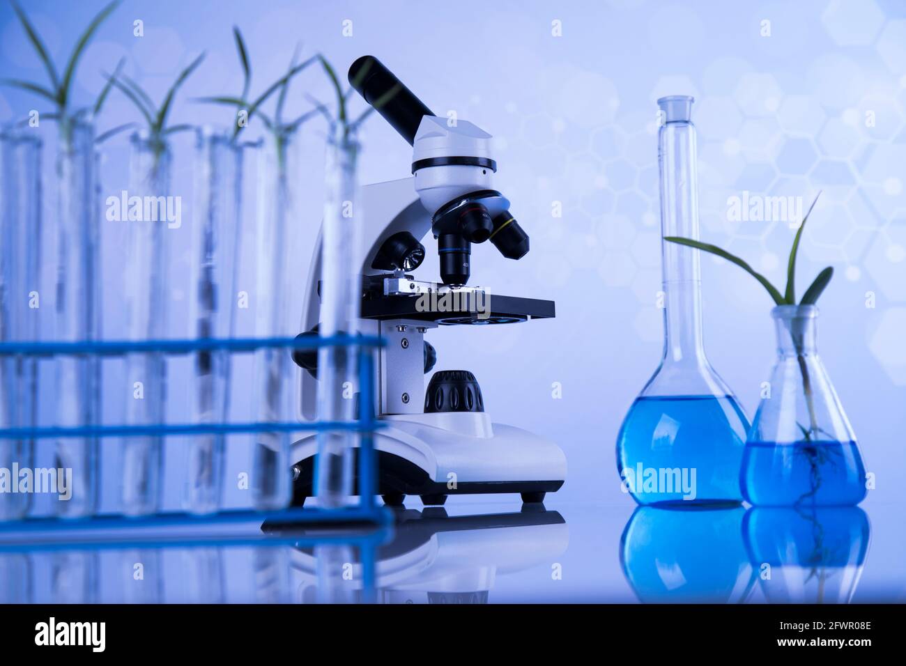 Microscope, Science experiment with plant laboratory Stock Photo - Alamy