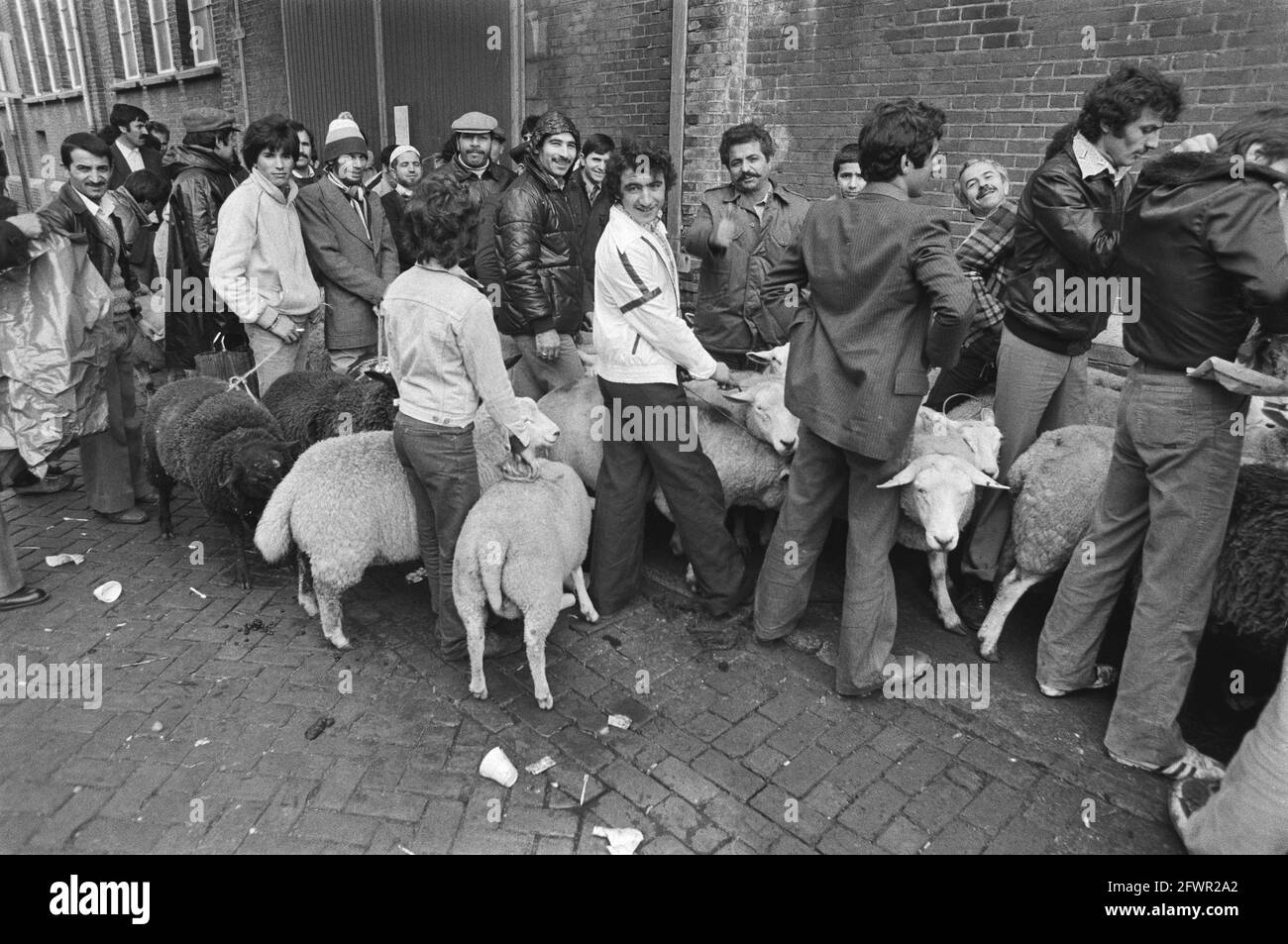 Slaughtering of sacrificial animals hi-res stock photography and images ...