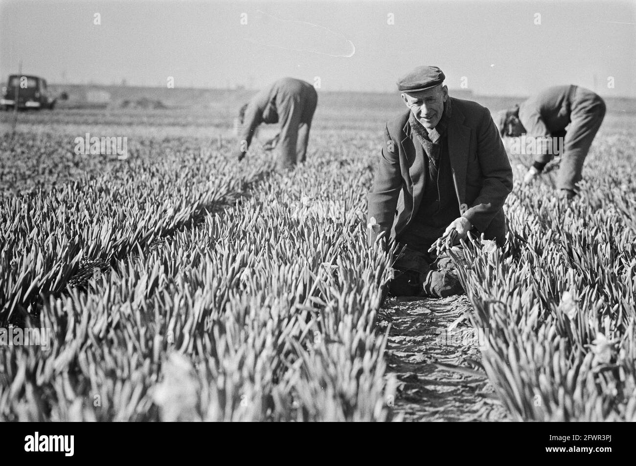 Being picked Black and White Stock Photos & Images - Alamy