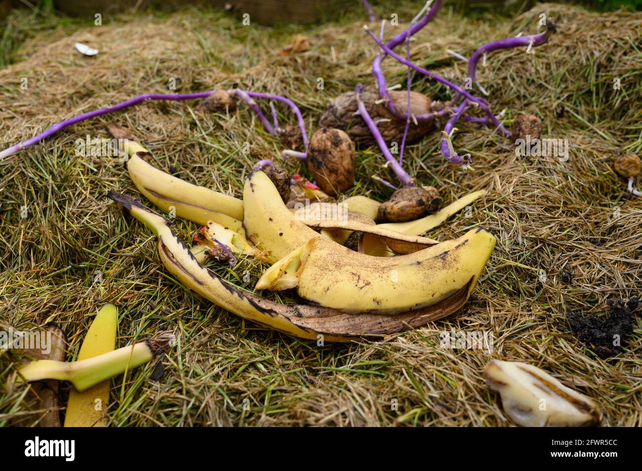 Domestic waste hi-res stock photography and images - Alamy