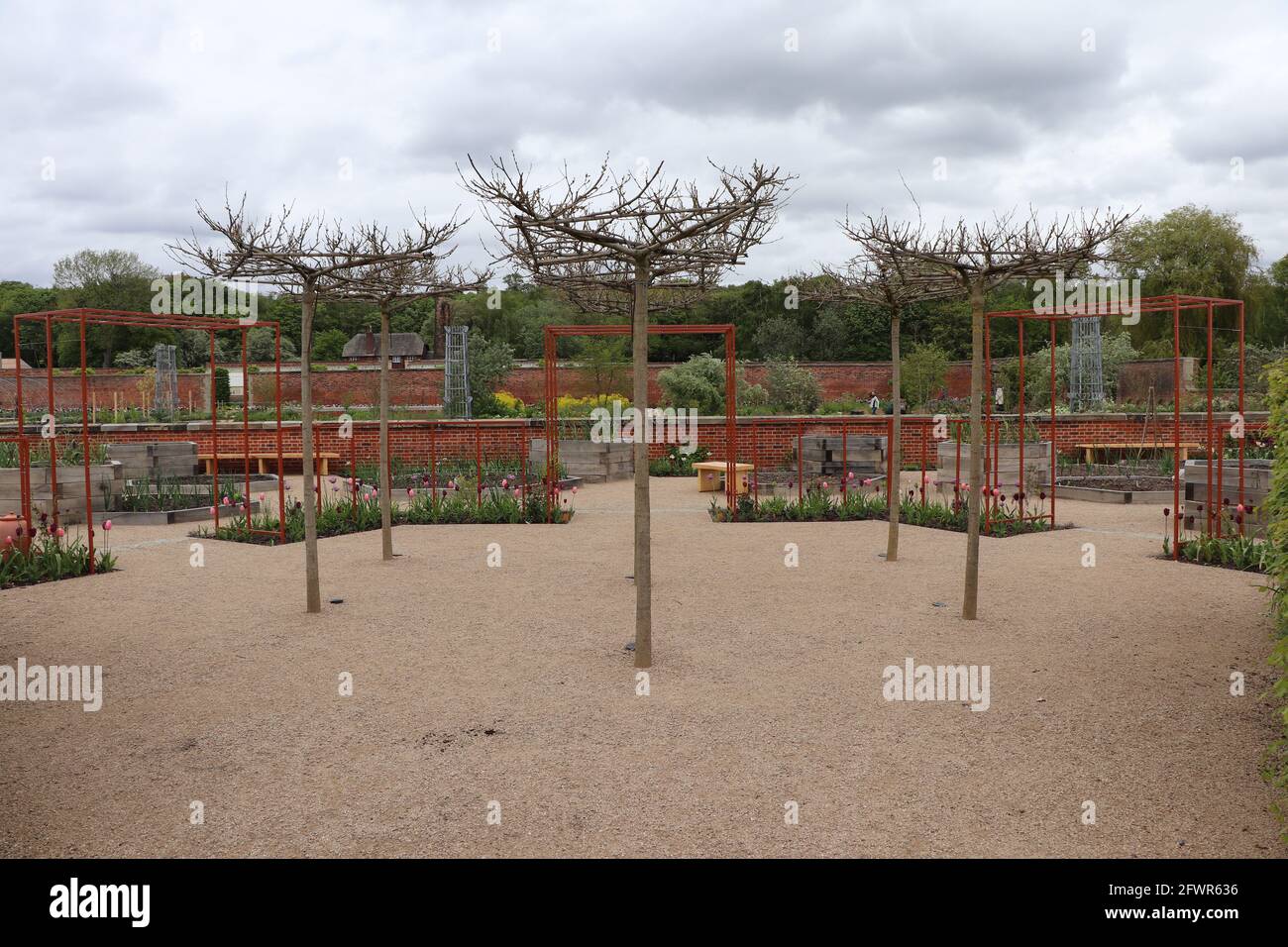 Ornamental climbing plants hi-res stock photography and images - Alamy