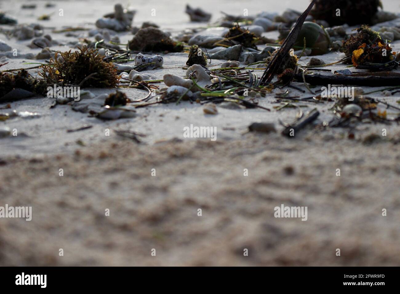 Beach flotsam High Resolution Stock Photography and Images - Alamy