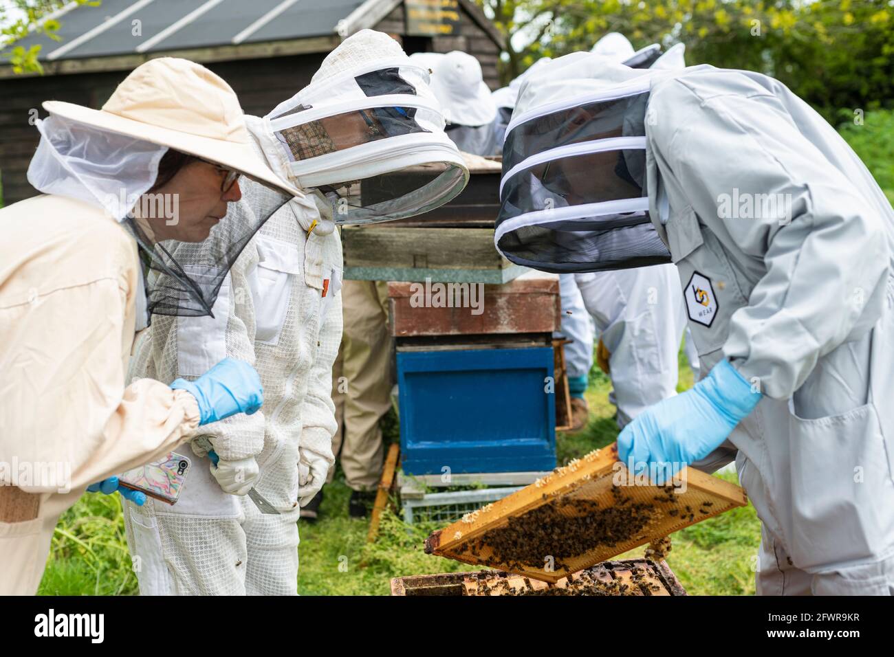 First inspection bee hive hi-res stock photography and images - Alamy