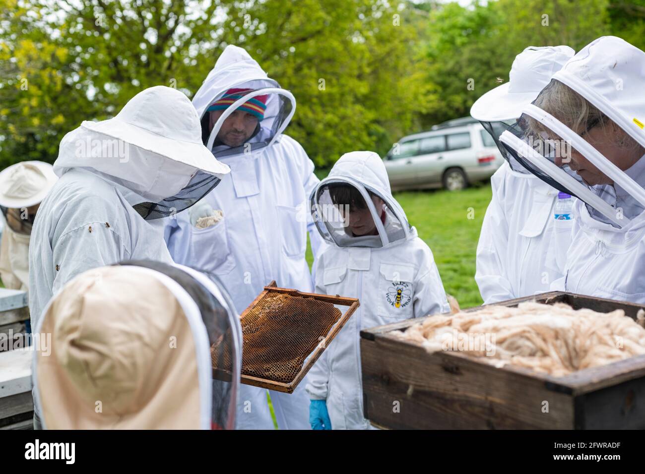 Suffolk bee keepers hi-res stock photography and images - Alamy