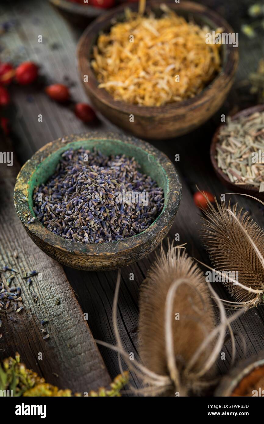 Medicine bottles and herbs composition Stock Photo - Alamy