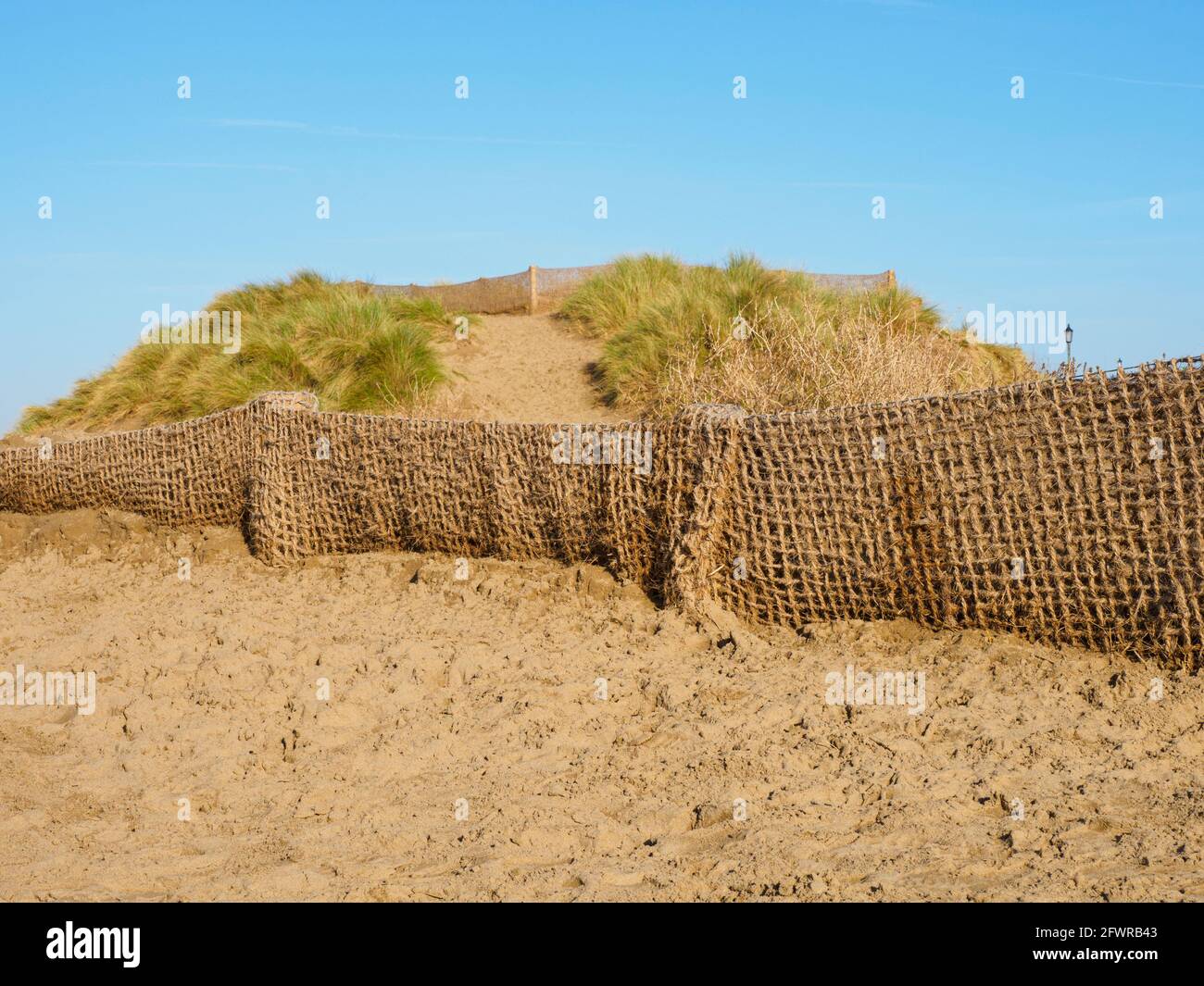 Sand dune stabilization hi-res stock photography and images - Alamy